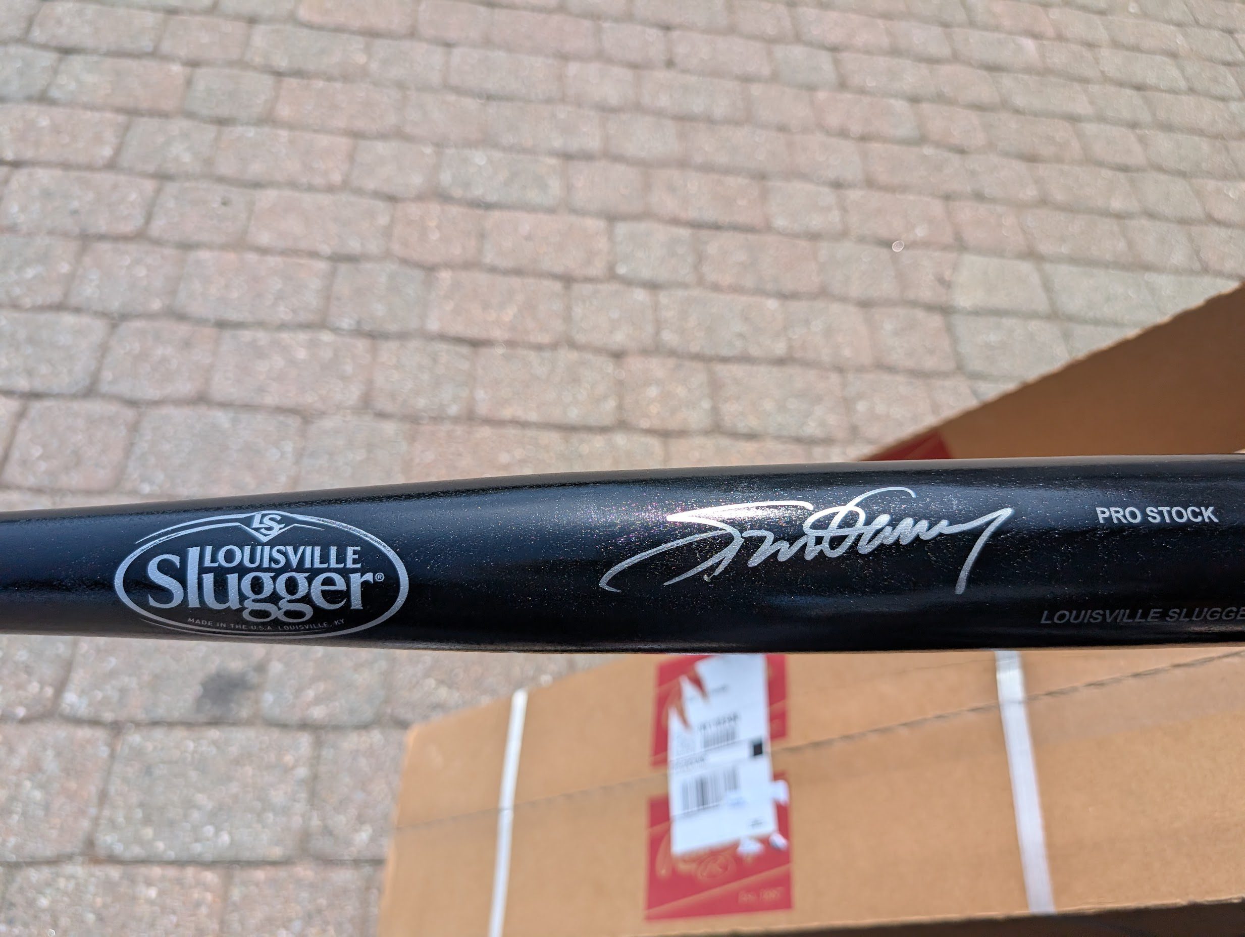 Steve Garvey Bats Black - Samuel Quain